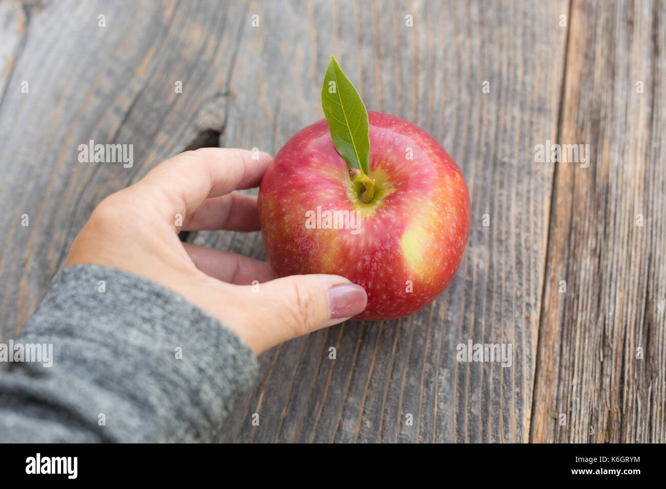 Apple picking and taking the goodness of the apple to be healthy. An ...