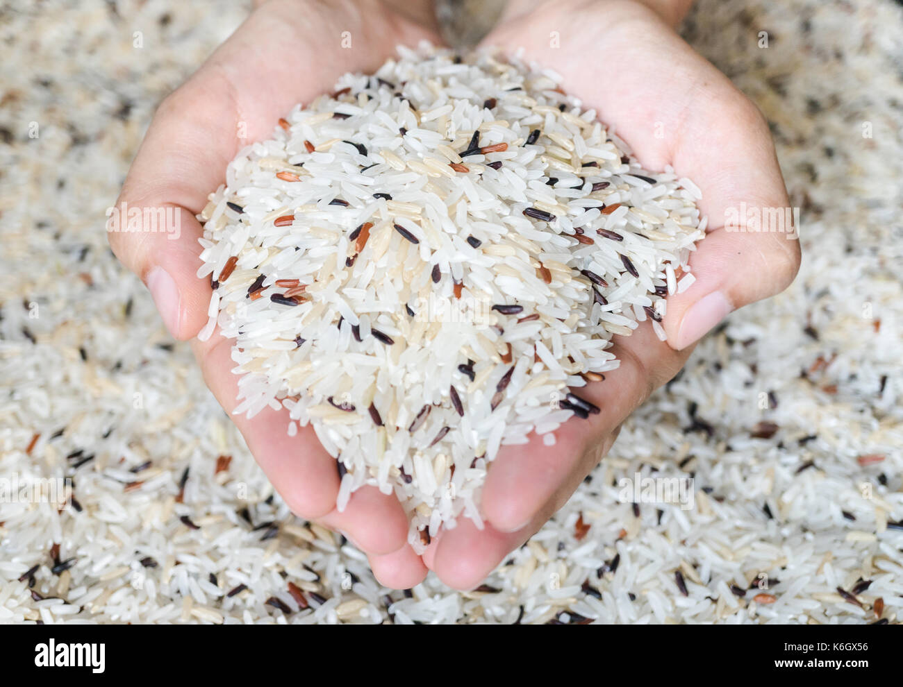 Human hand holding jasmine rice and brown rice Stock Photo - Alamy