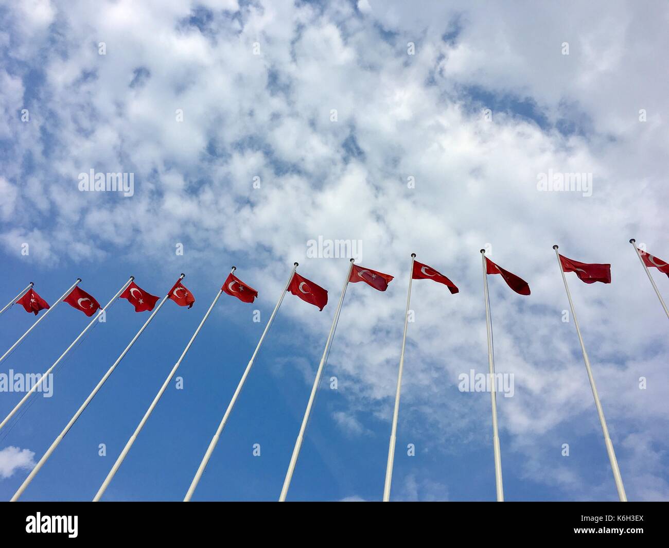 Many Turkish flags waving on the flagpoles Many Turkish flags waving on ...