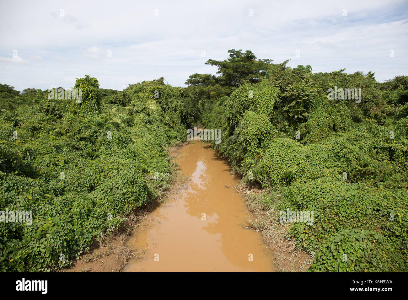 Matahambre hi-res stock photography and images - Alamy