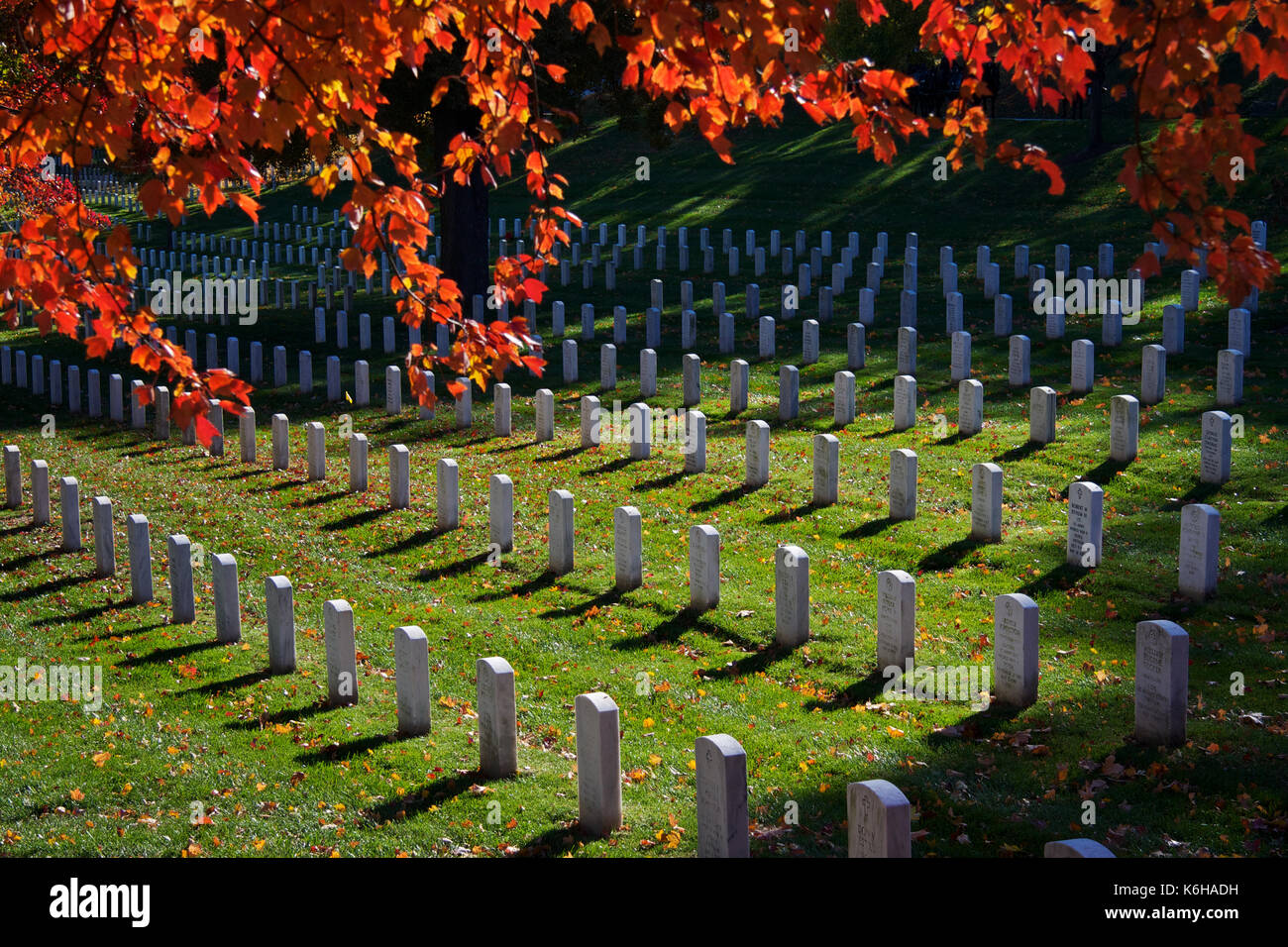 Gravestones at Arlington cemetery, Washington DC under fall trees Stock ...
