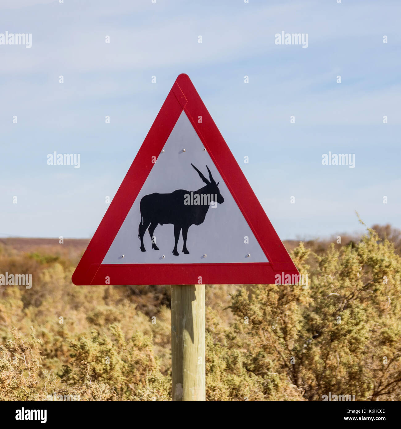 Antelope caution sign hi-res stock photography and images - Alamy