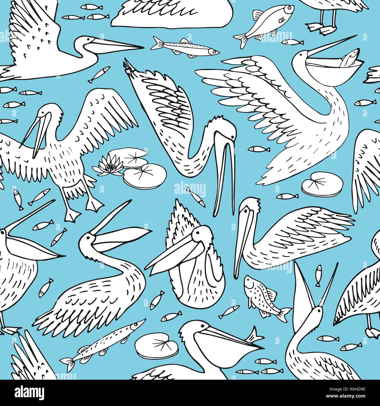 Pelicans, illustration, vector Stock Vector Image & Art - Alamy