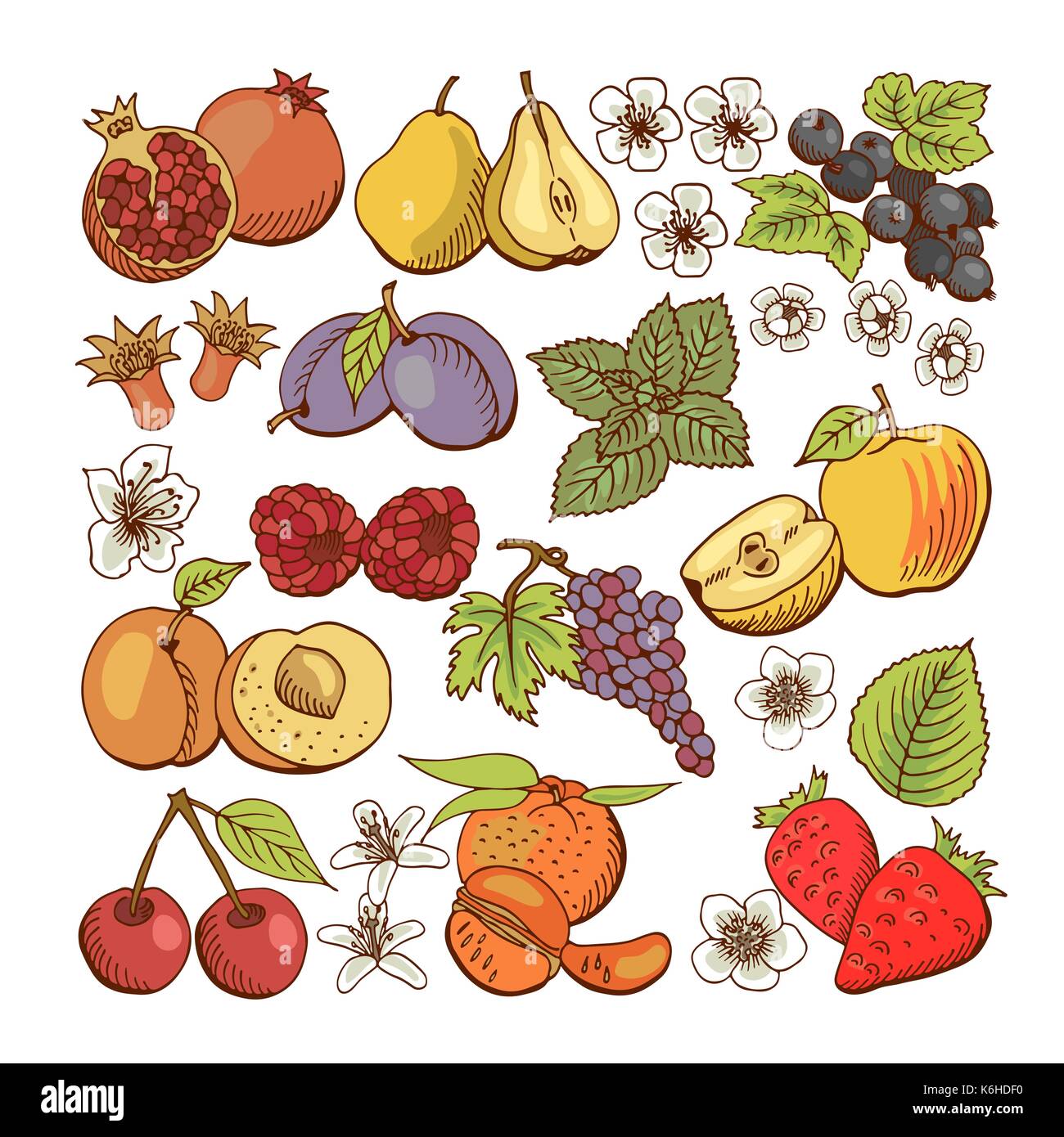 Vector set colored flat Stock Vector Images - Alamy
