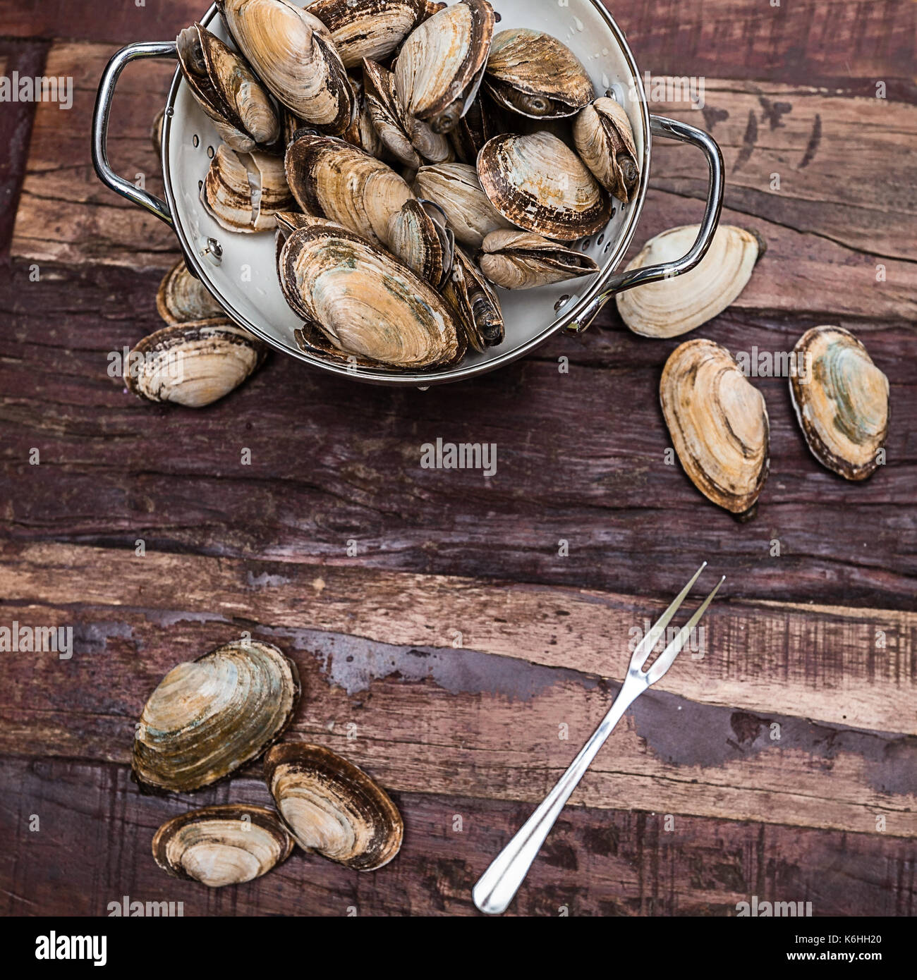 Cleaning clams hi-res stock photography and images - Alamy