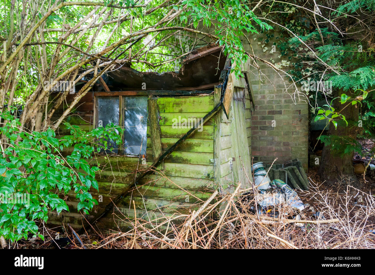 Derelict shed hi-res stock photography and images - Alamy