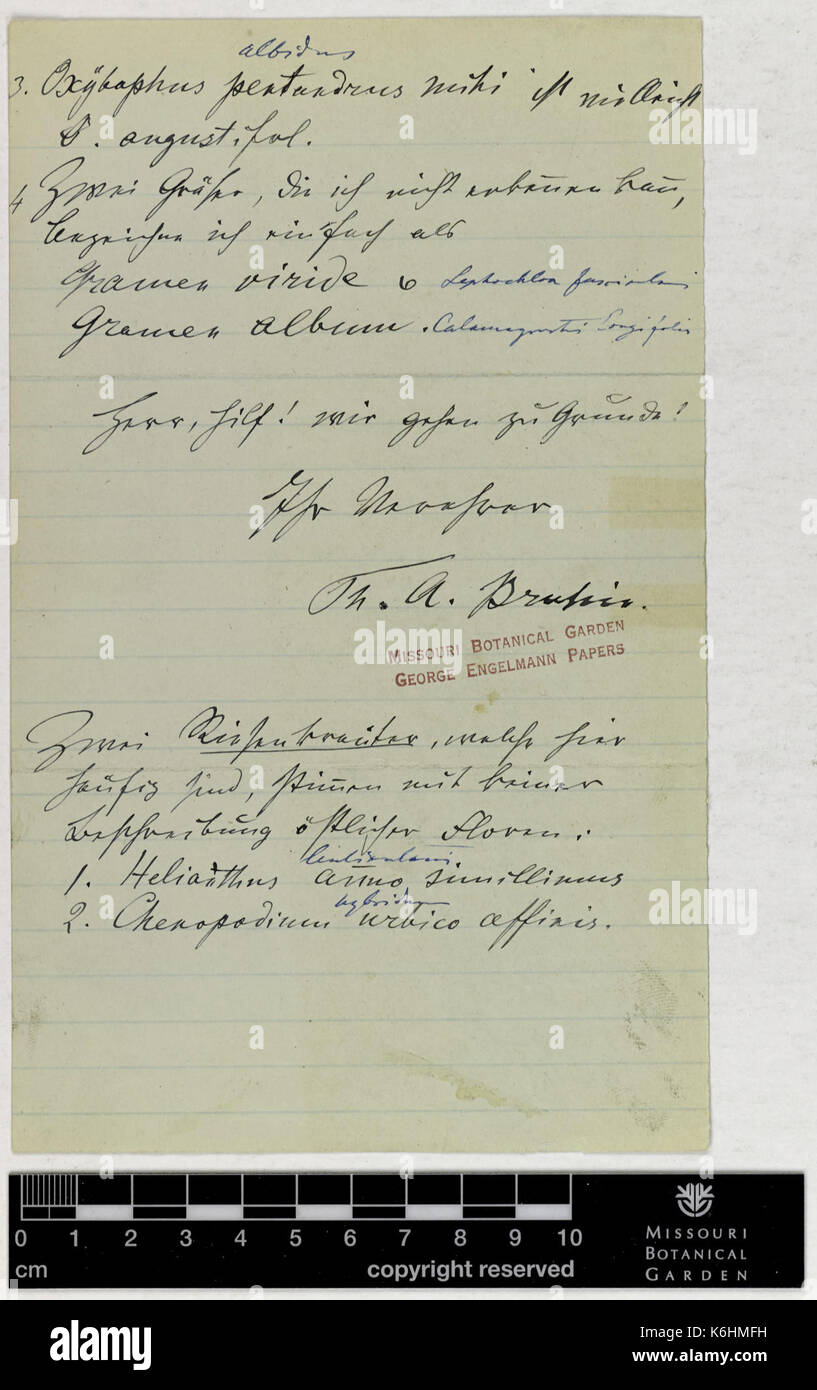 Correspondence Bruhin (Thomas) and Engelmann (George) (Oct 03, 1881 (1 ...