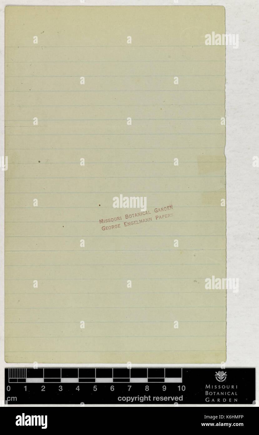 Correspondence Bruhin (Thomas) and Engelmann (George) (Oct 25, 1881 (1 ...