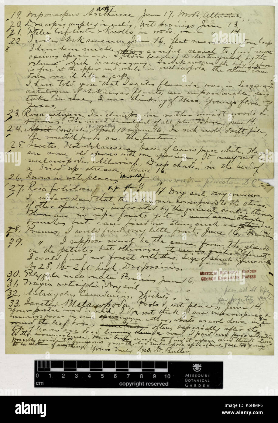 Correspondence Butler (George) and Engelmann (George) (Jun 20, 1877 (1 ...