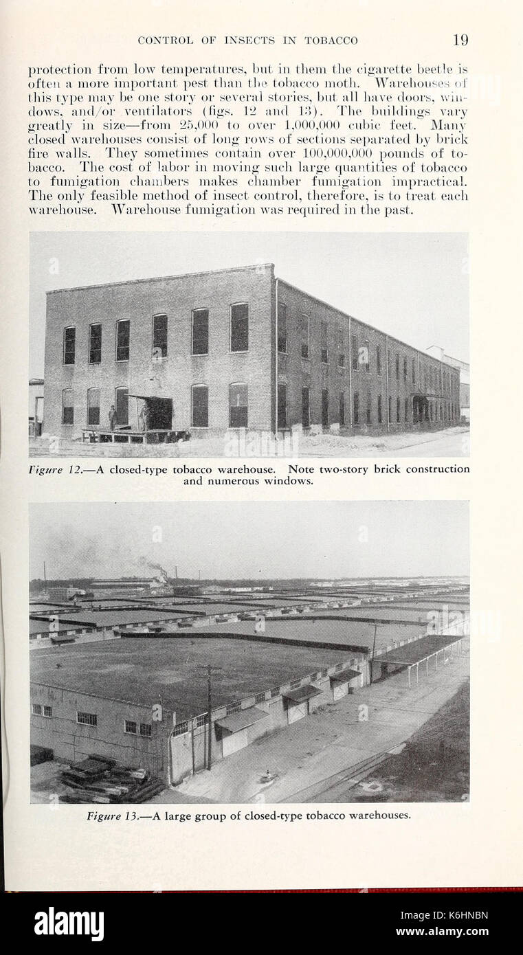 Control of insects in stored and manufactured tobacco (Page 19 ...