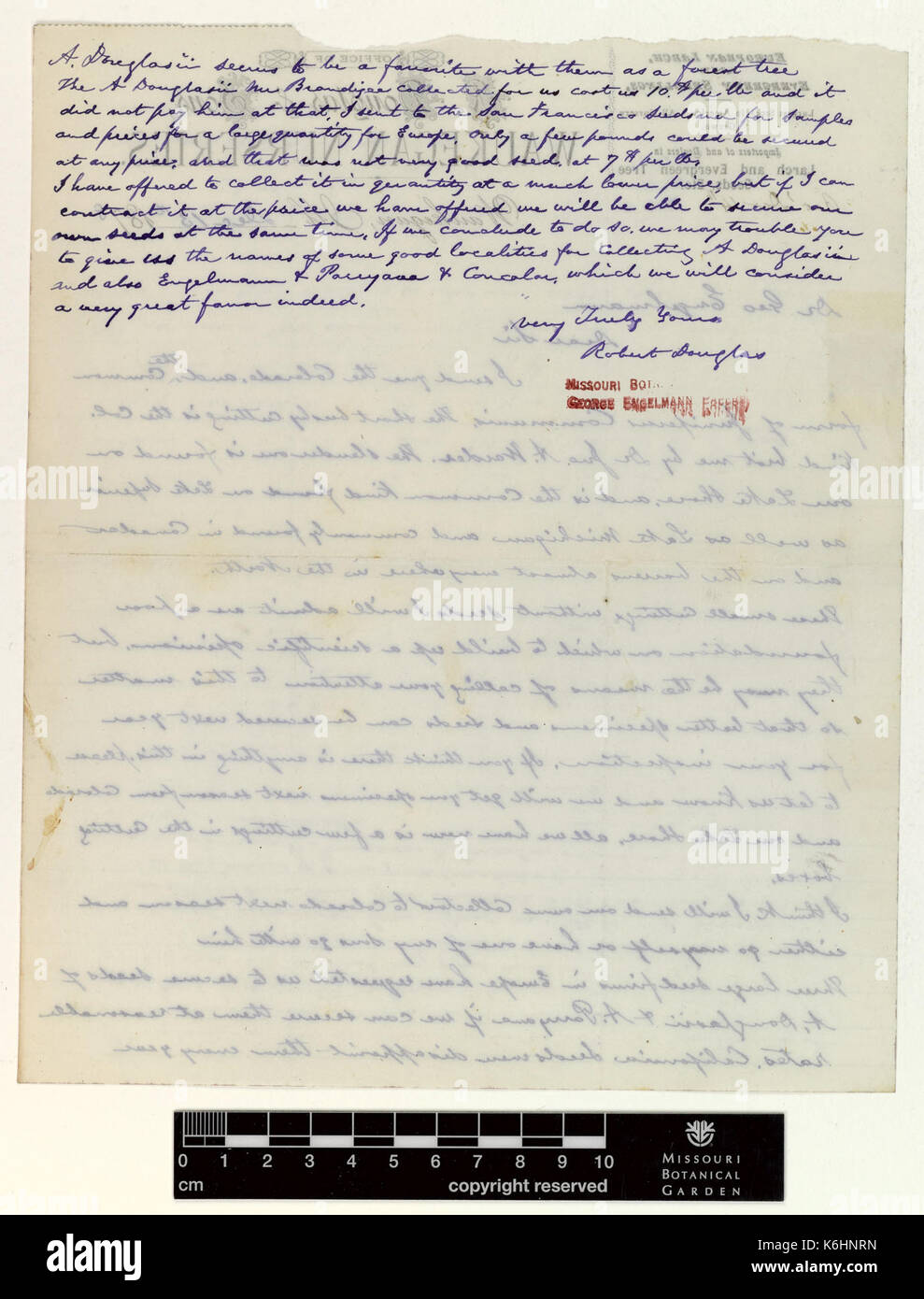 Correspondence Douglas (Robert) and Engelmann (George) (Dec 13, 1878 (1 ...