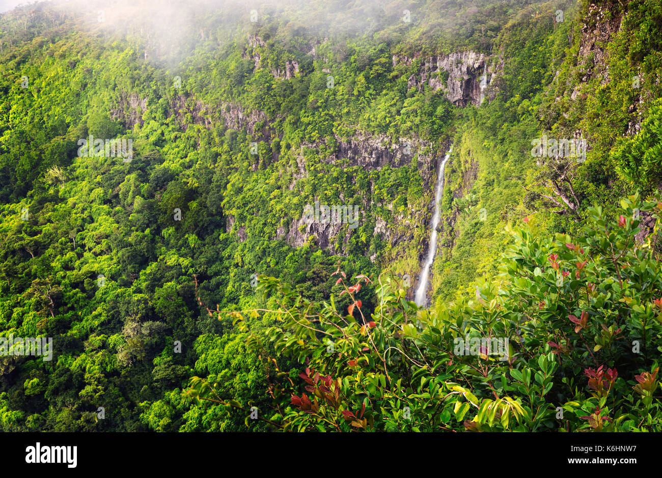 Black river gorge mauritius hi-res stock photography and images - Alamy