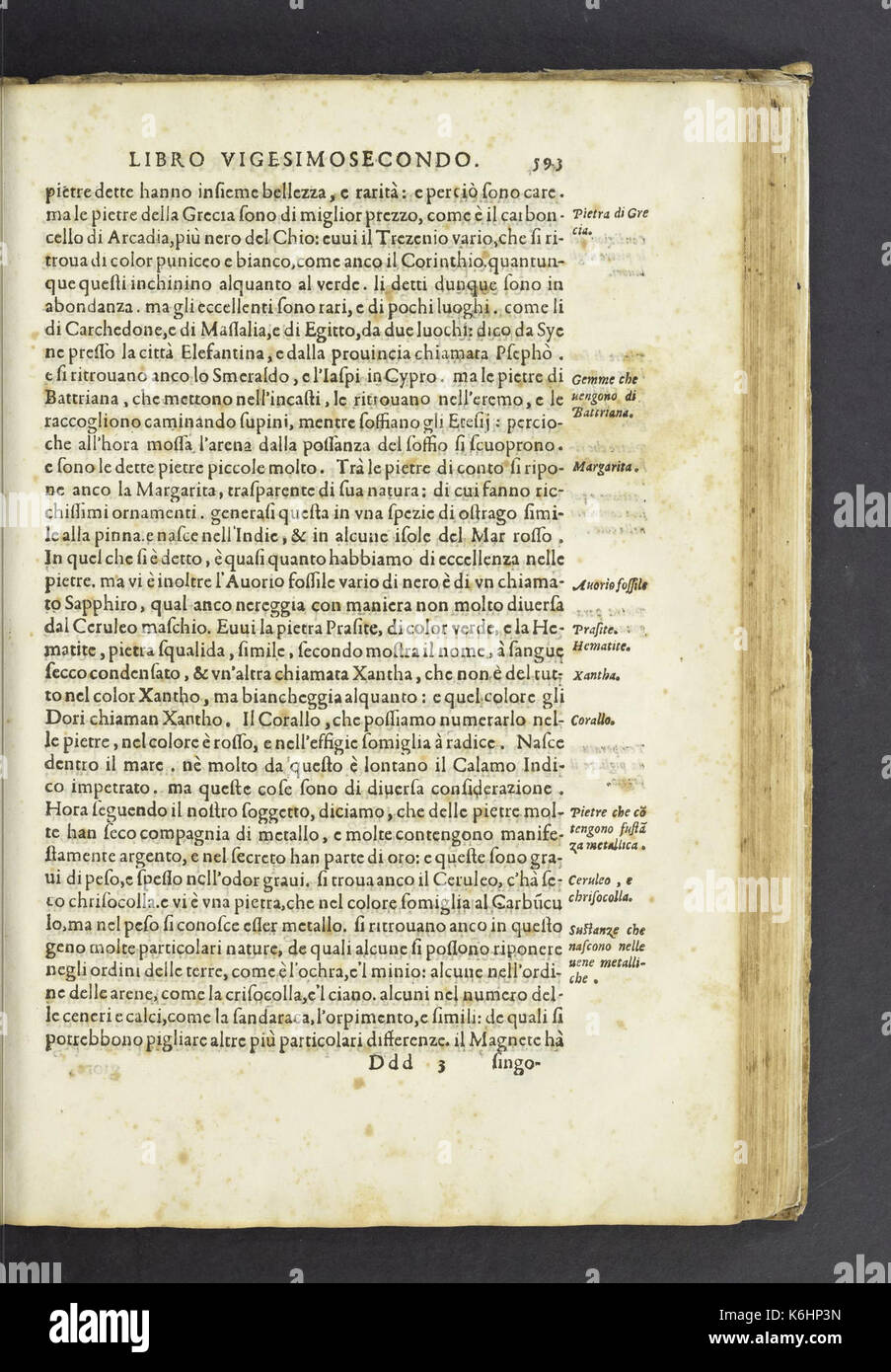 Ferrante imperato hi-res stock photography and images - Alamy