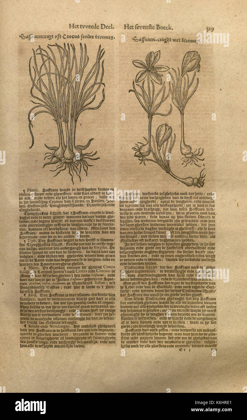 Cruydt boeck Remberti Dodonaei volghens sijne laetste verbeteringhe ...