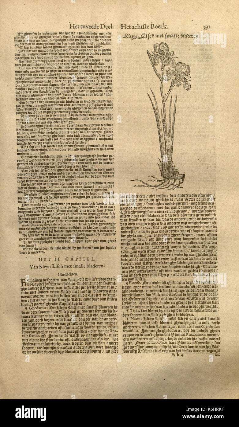 Cruydt boeck Remberti Dodonaei volghens sijne laetste verbeteringhe ...