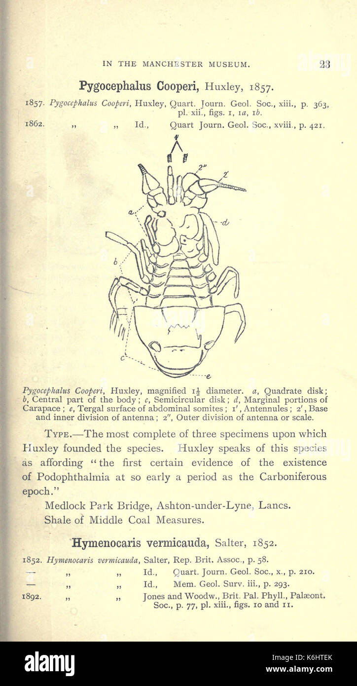 Catalogue of the types and figured specimens in the Geological ...