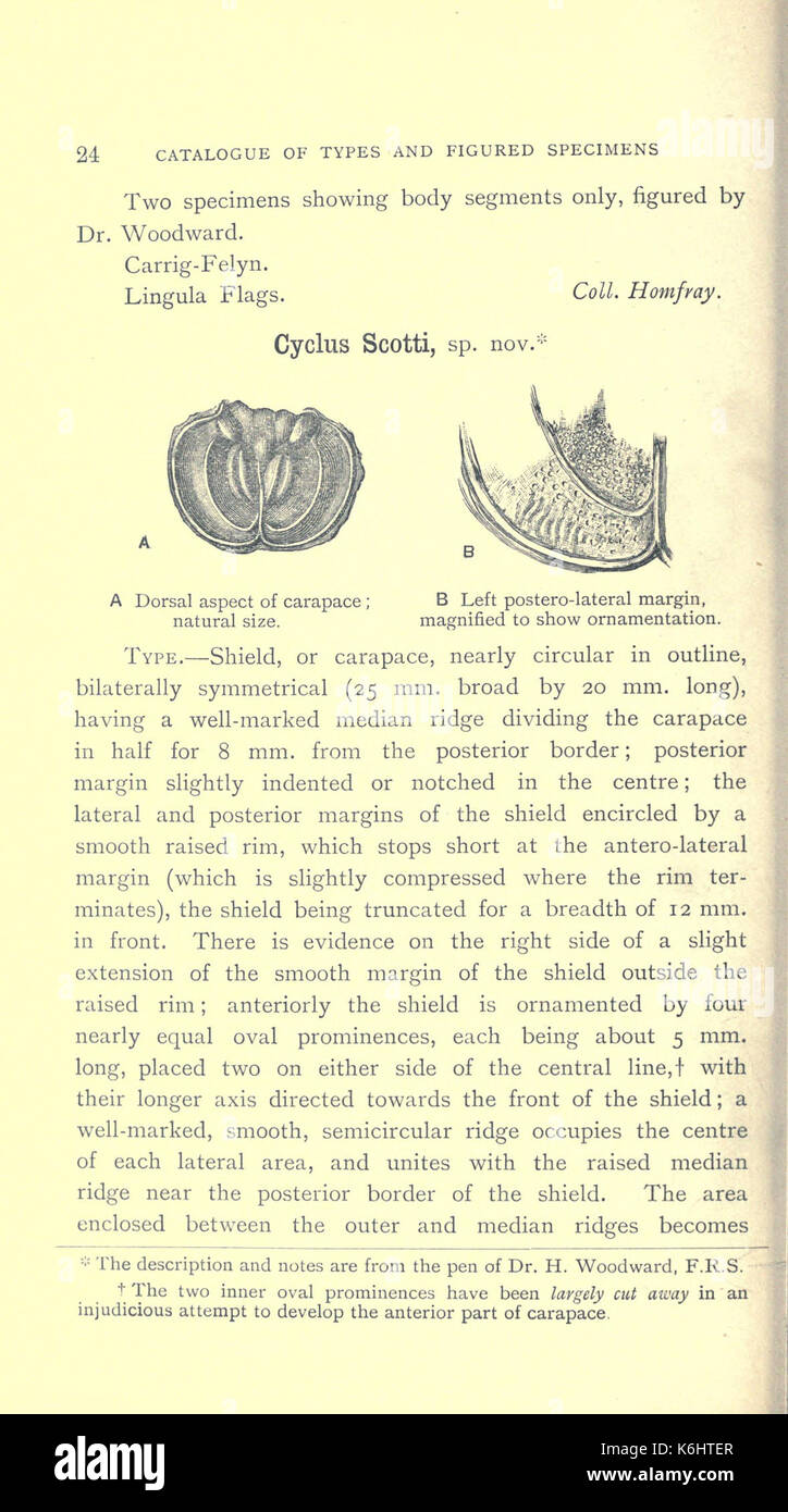 Catalogue of the types and figured specimens in the Geological ...