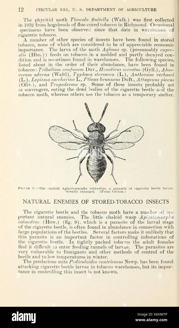 Control of insects attacking stored tobacco and tobacco products (Page ...