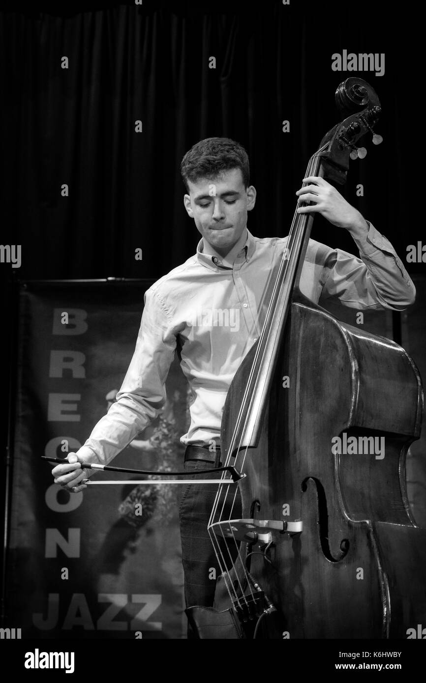 Upright bass bow hi-res stock photography and images - Alamy