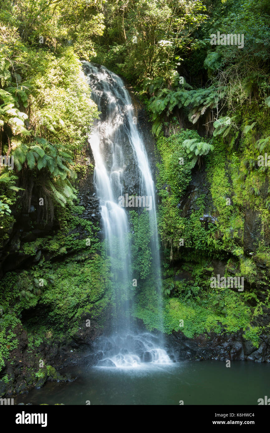 Antankarana waterfall, Amber Mountain National Park, Madagascar Stock ...