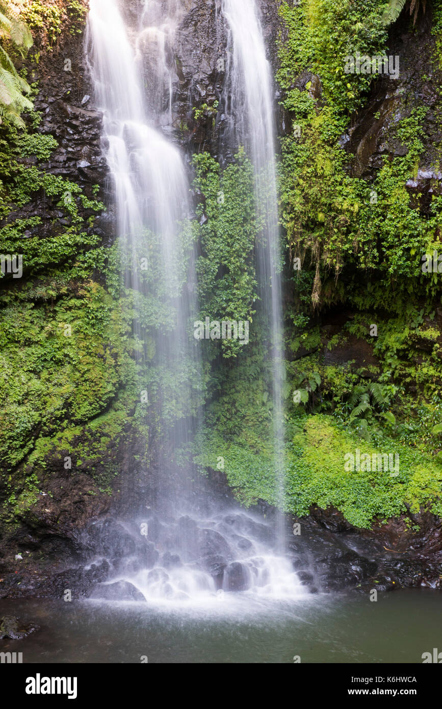 Antankarana waterfall, Amber Mountain National Park, Madagascar Stock ...