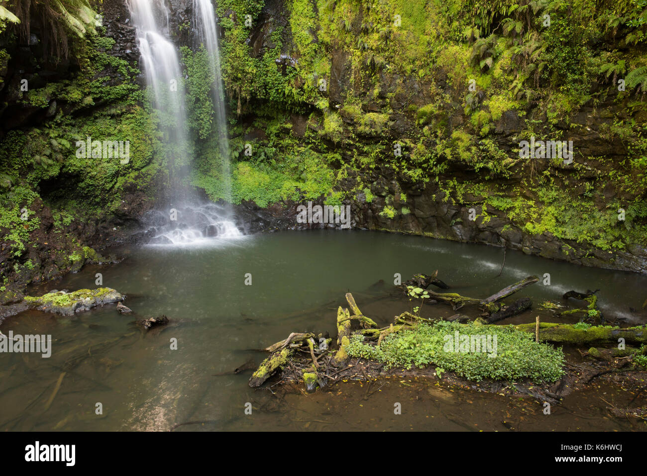 Antankarana waterfall, Amber Mountain National Park, Madagascar Stock ...