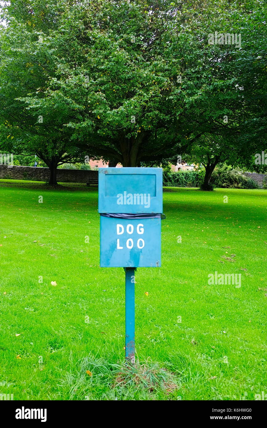 Dogs mess bin hi-res stock photography and images - Alamy