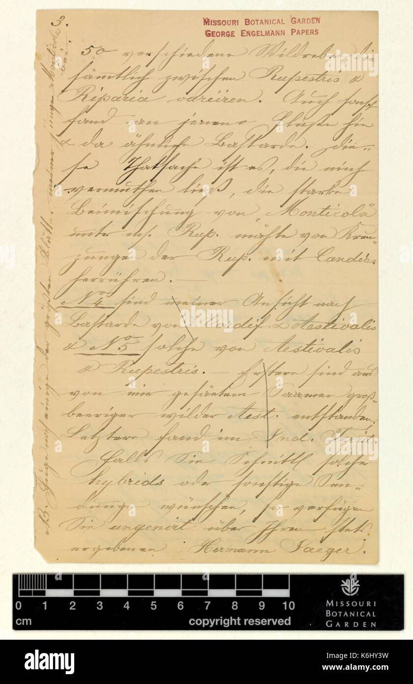 Correspondence Jaeger (Hermann) and Engelmann (George) (Nov 01, 1881 (4 ...