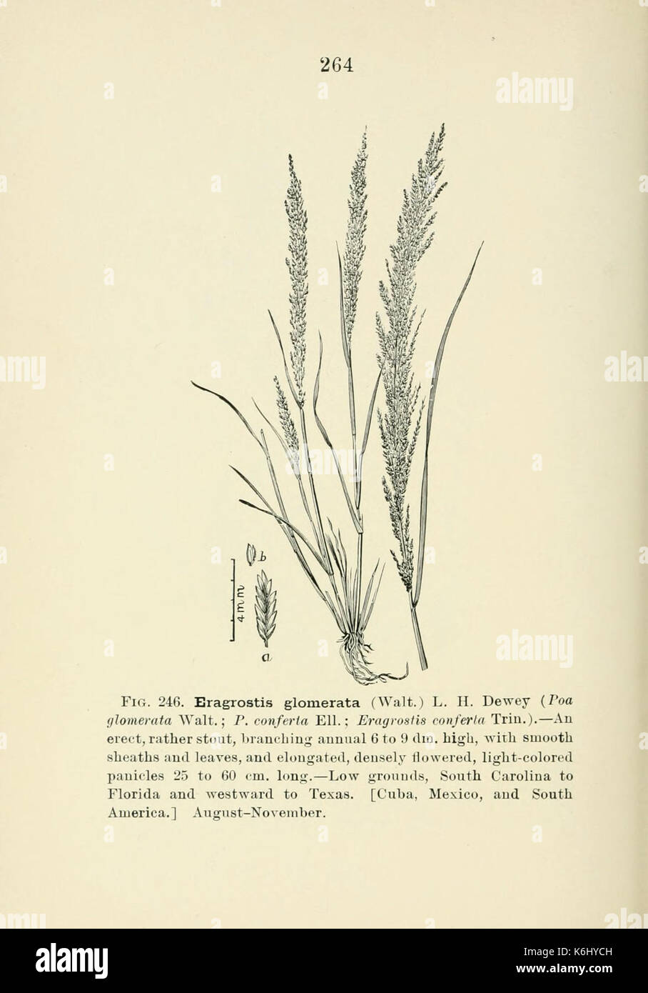 19th century scientific documentation hi-res stock photography and ...