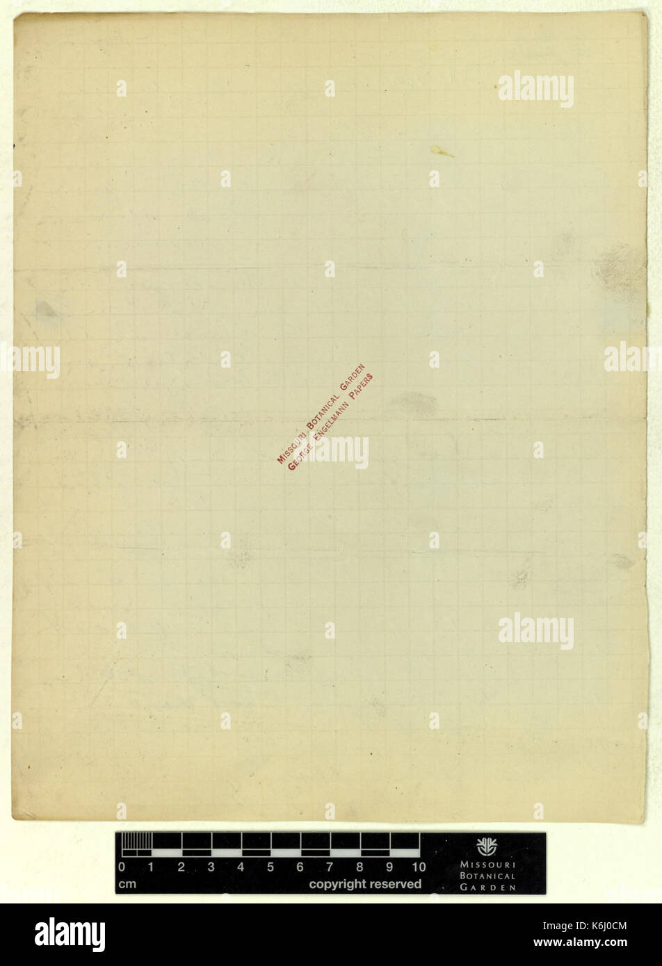 Correspondence Lemmon (John) and Engelmann (George) BHL43679019 Stock ...