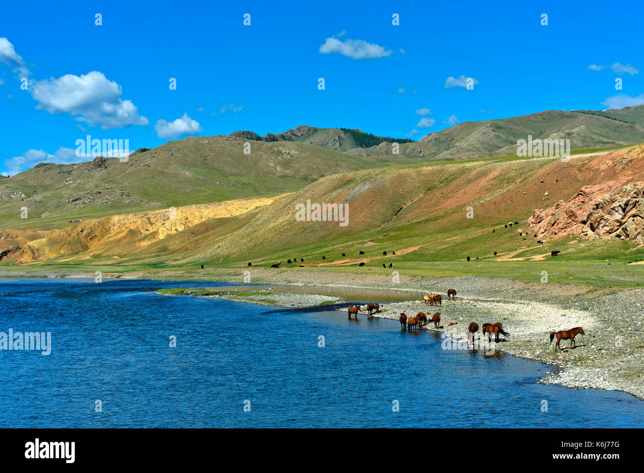 Orkhon river mongolia hi-res stock photography and images - Alamy