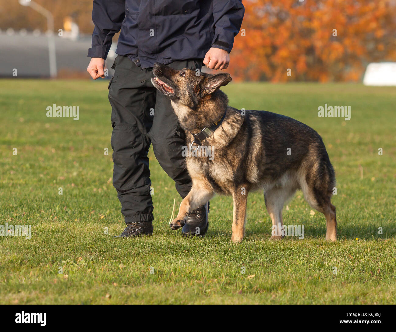 Best police hi-res stock photography and images - Alamy