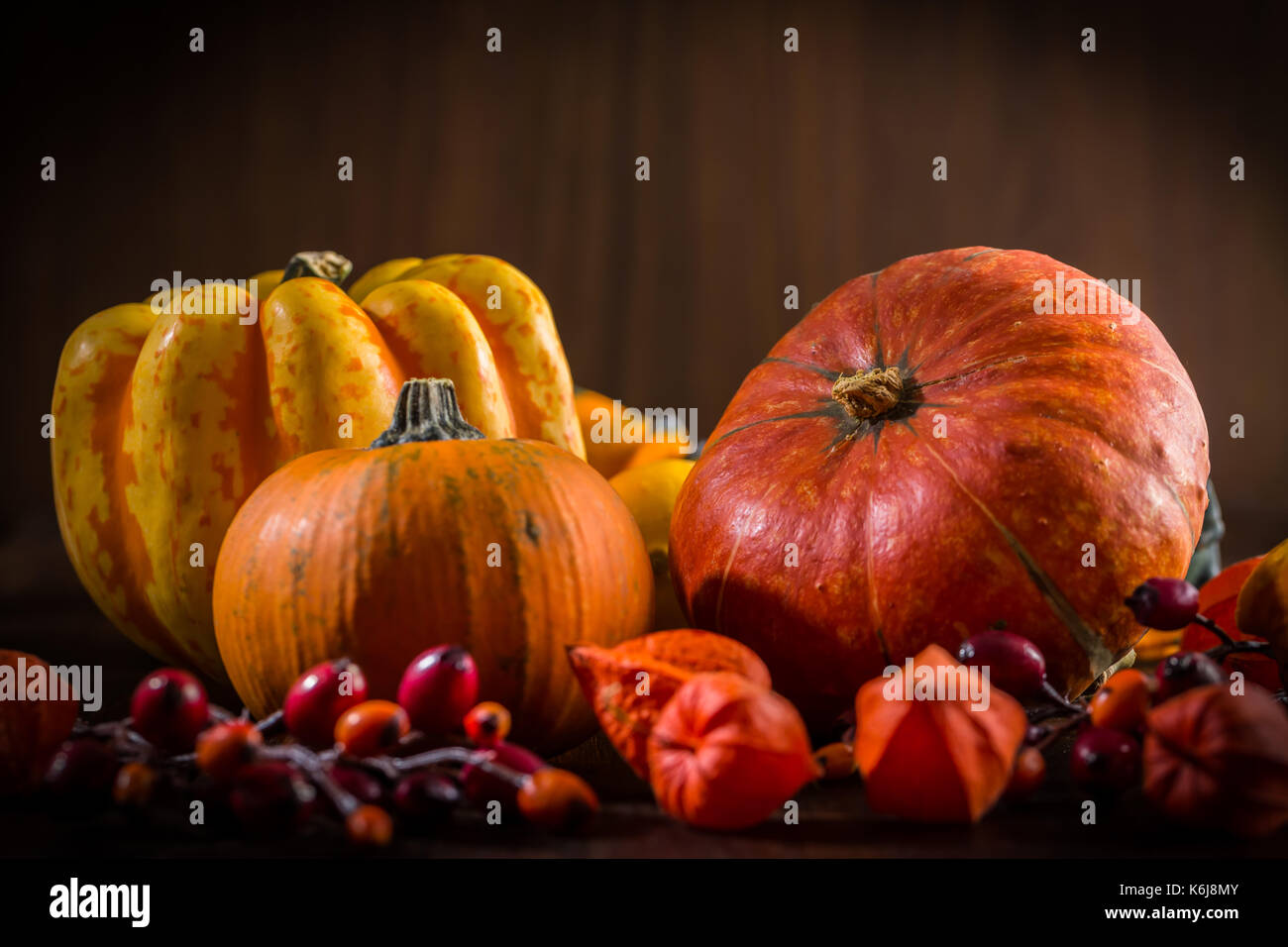 Traditional pumpkins for Thanksgiving in warm colors Stock Photo - Alamy