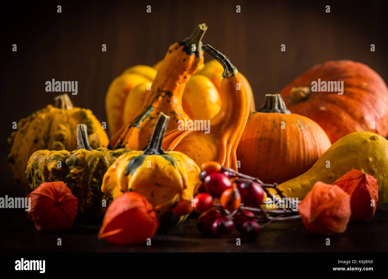 Traditional pumpkins for Thanksgiving in warm colors Stock Photo - Alamy