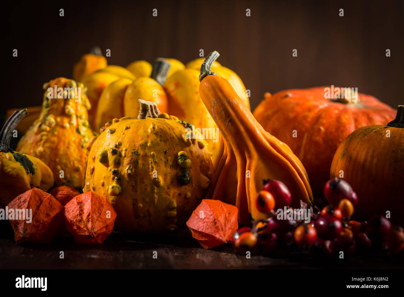 Traditional pumpkins for Thanksgiving in warm colors Stock Photo - Alamy