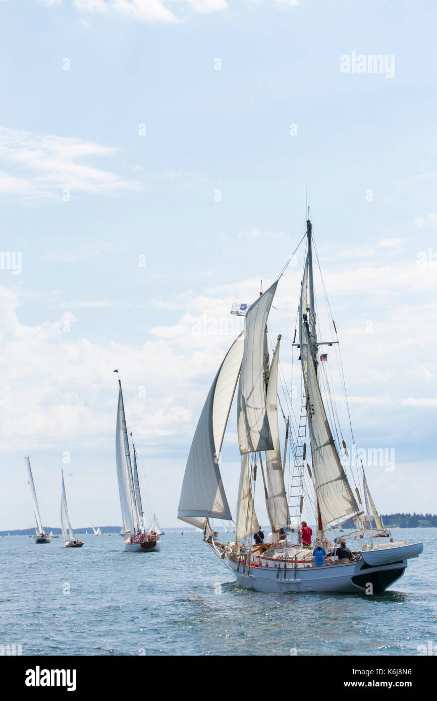 Sailboats sailing during race, Portland, Maine, USA Stock Photo - Alamy