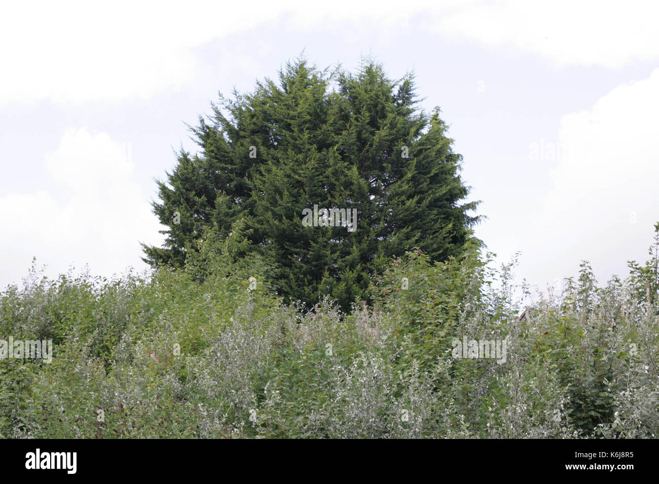 Trains working at Hunts Cross, Liverpool Stock Photo - Alamy