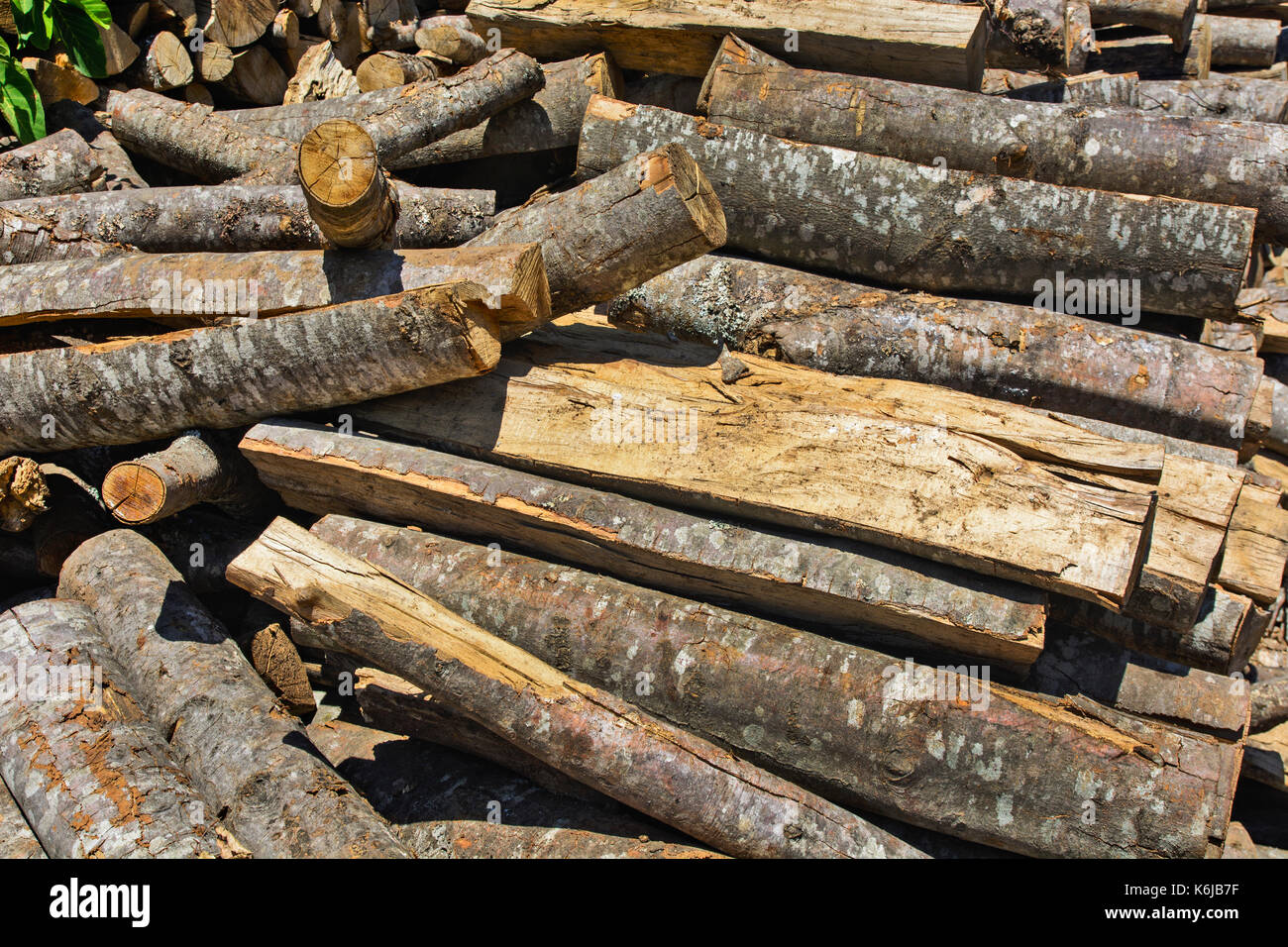 Wood at the depot, cut the log and ready for sale Stock Photo - Alamy