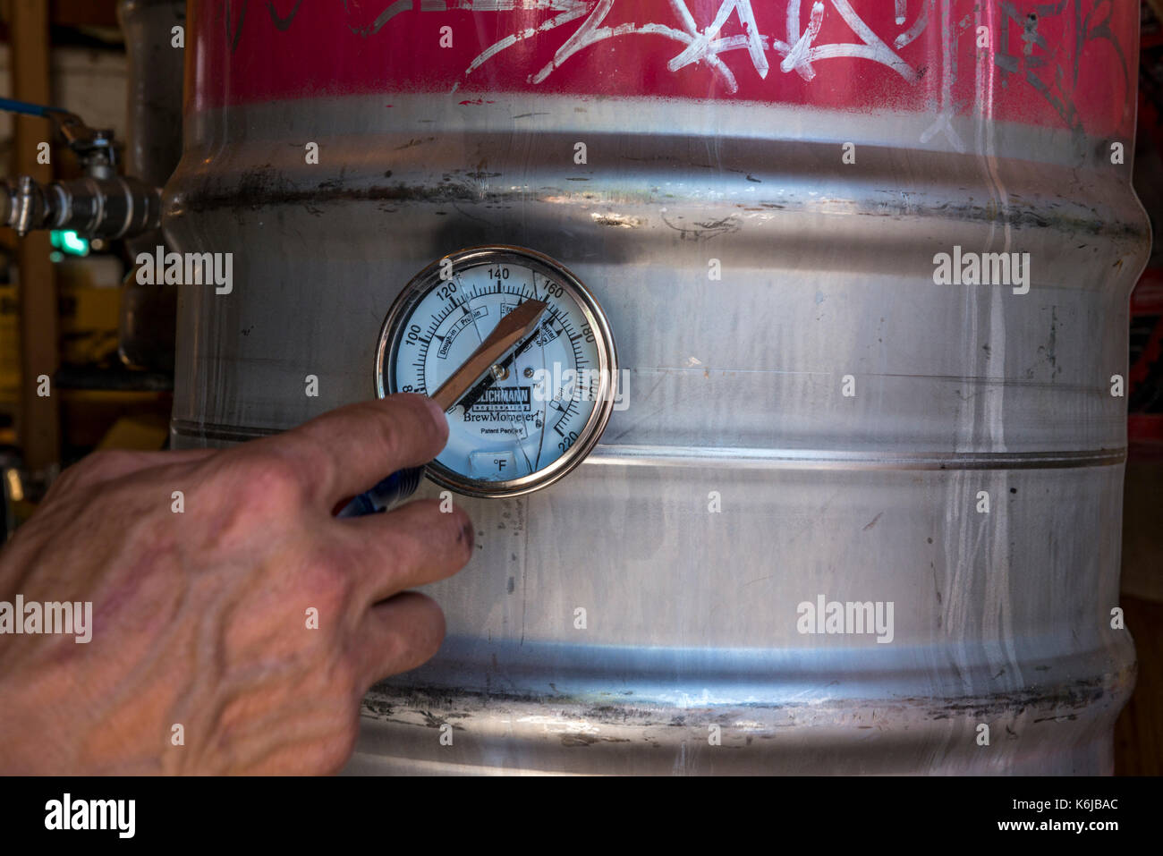Man checking temperature of homebrew beer, Bishop, California, USA ...