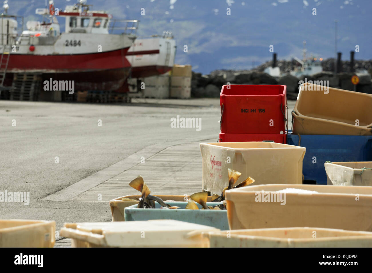 Fresh fish from fisherman boats Stock Photo - Alamy