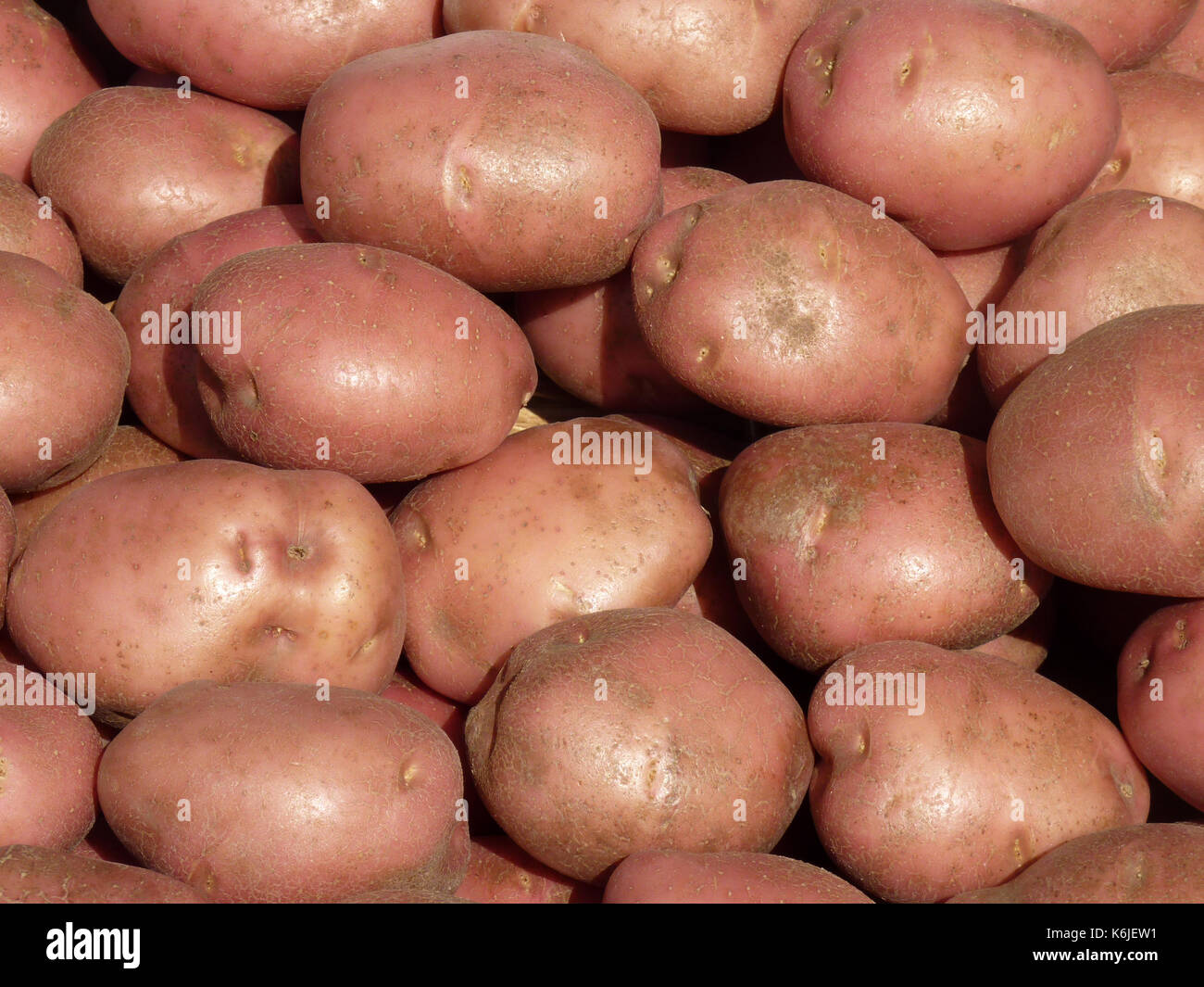 Closeup of red skin potatoes on market stall Stock Photo - Alamy