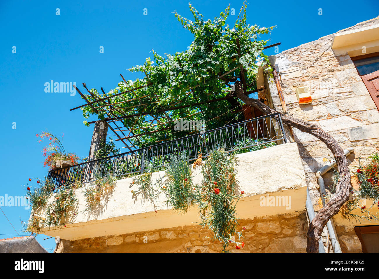 Margarites crete hi-res stock photography and images - Alamy