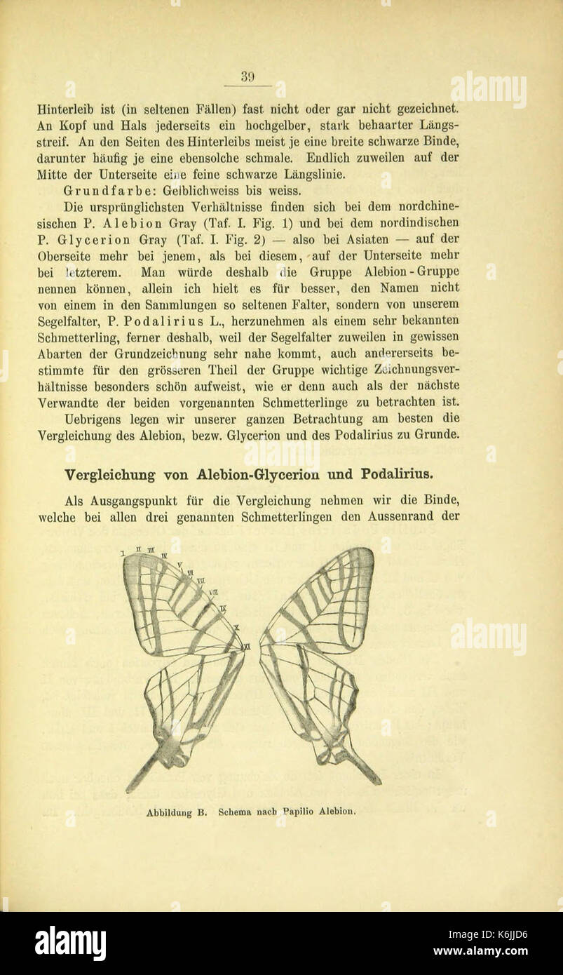 Die Artbildung und Verwandtschaft bei den Schmetterlingen (Page 39 ...