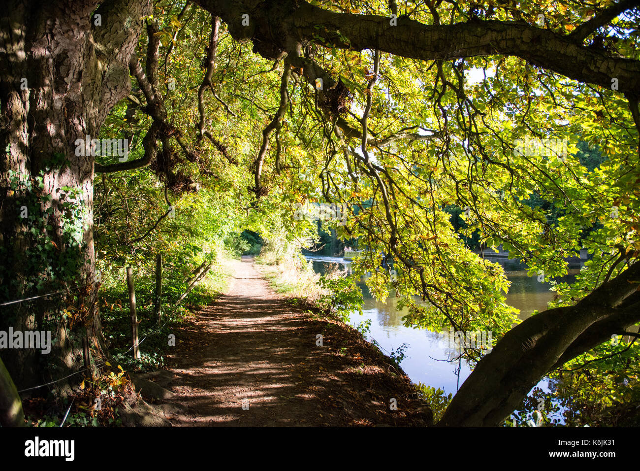 The Thames footpath alongside the meandering River Thames in the flood ...