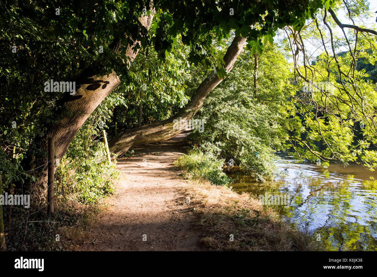 The Thames footpath alongside the meandering River Thames in the flood ...