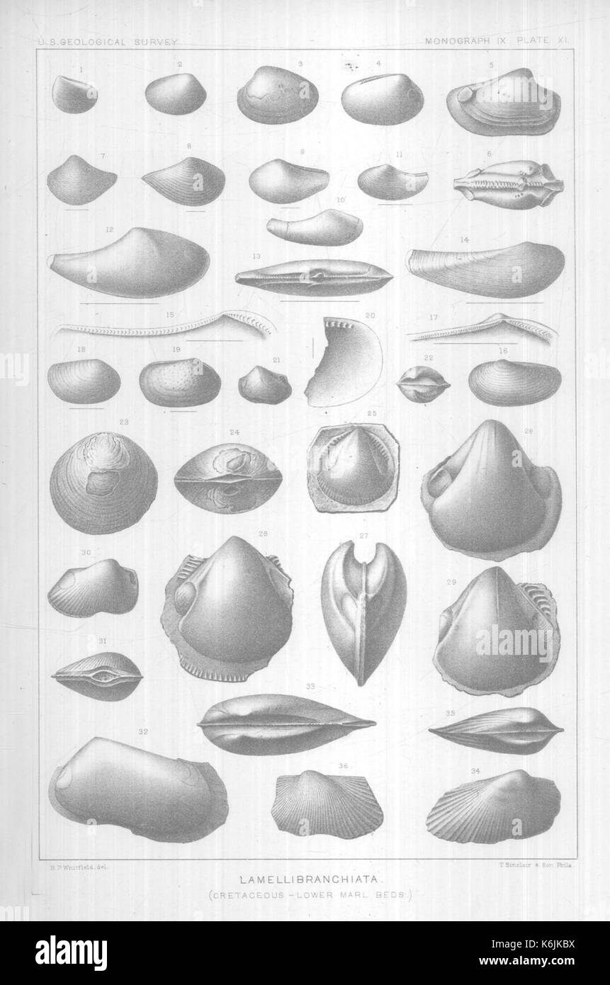 Raritan Black and White Stock Photos & Images - Alamy