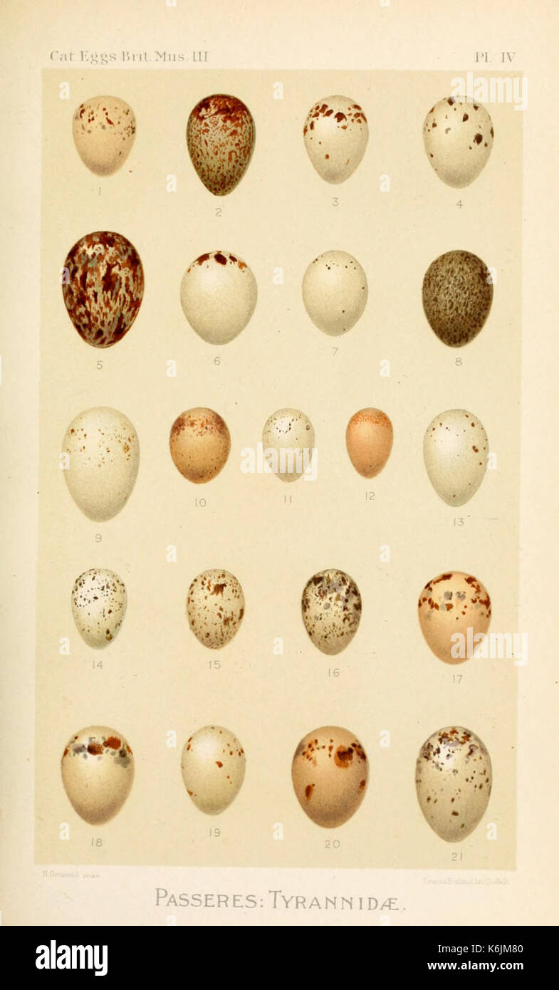 Catalogue of the Collection of Birds' Eggs in the British Museum ...