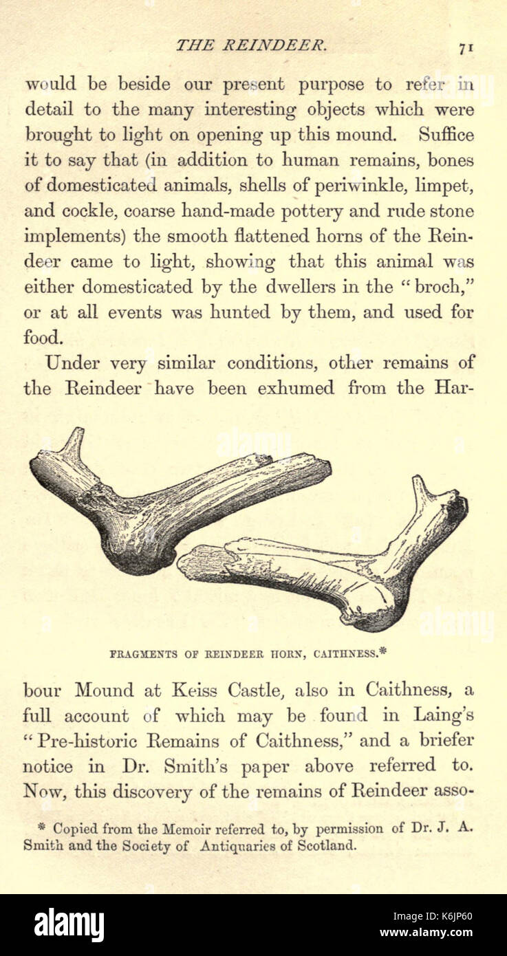 British animals extinct within historic times (Page 71) BHL17765510 ...