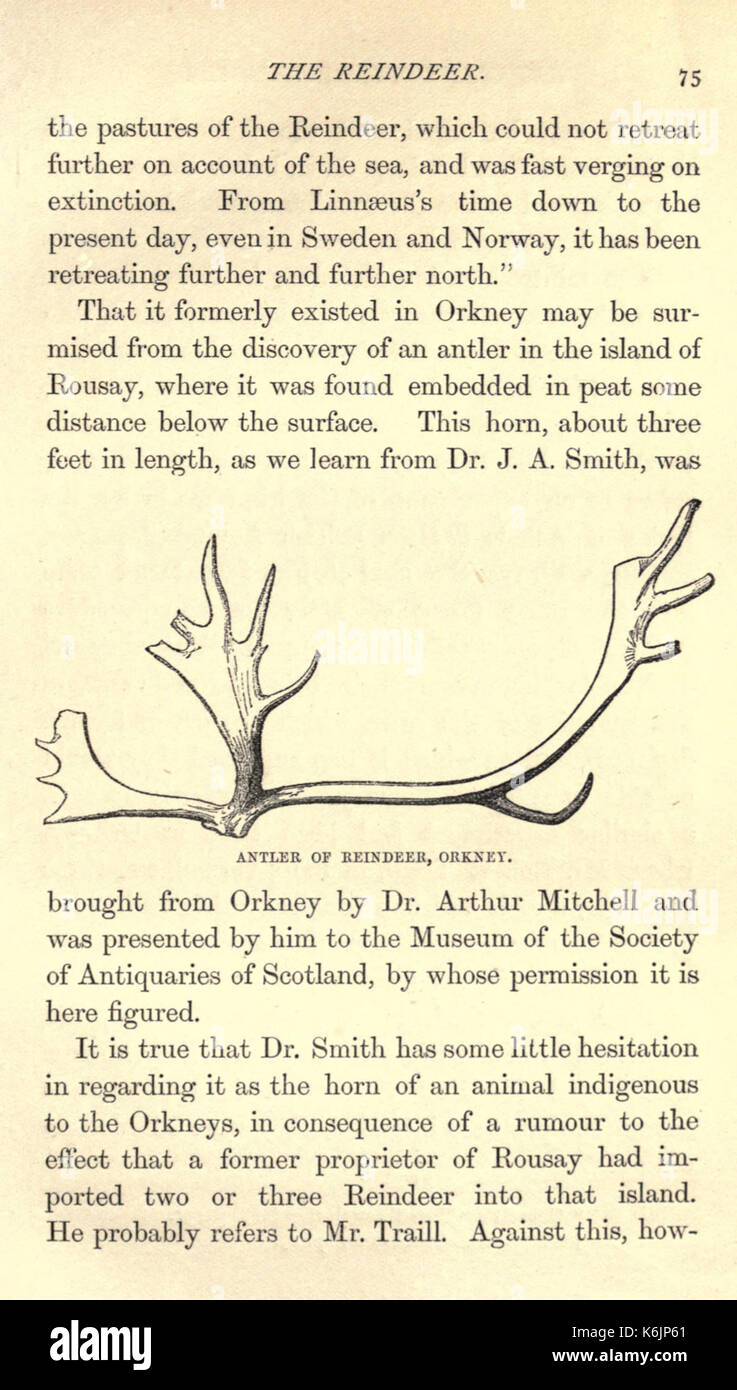 British animals extinct within historic times (Page 75) BHL17765514 ...