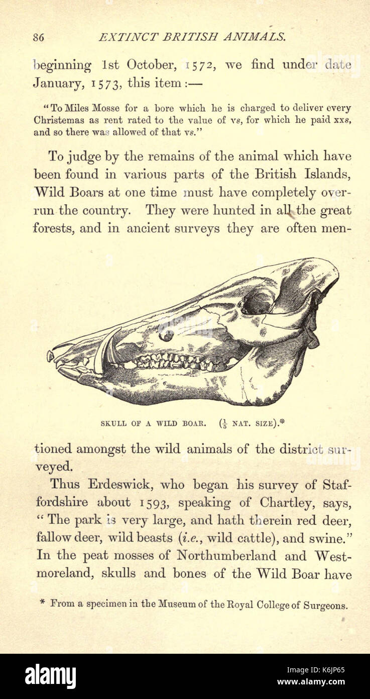 British animals extinct within historic times (Page 86) BHL17765525 ...